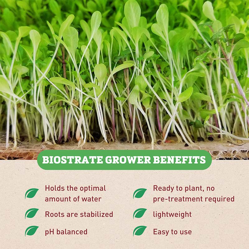 Biostrate 160 Microgreens Kit – Harris Seeds