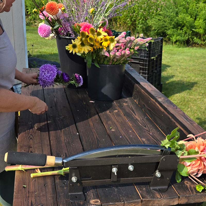 Cut Flower Stem Cutter – Harris Seeds