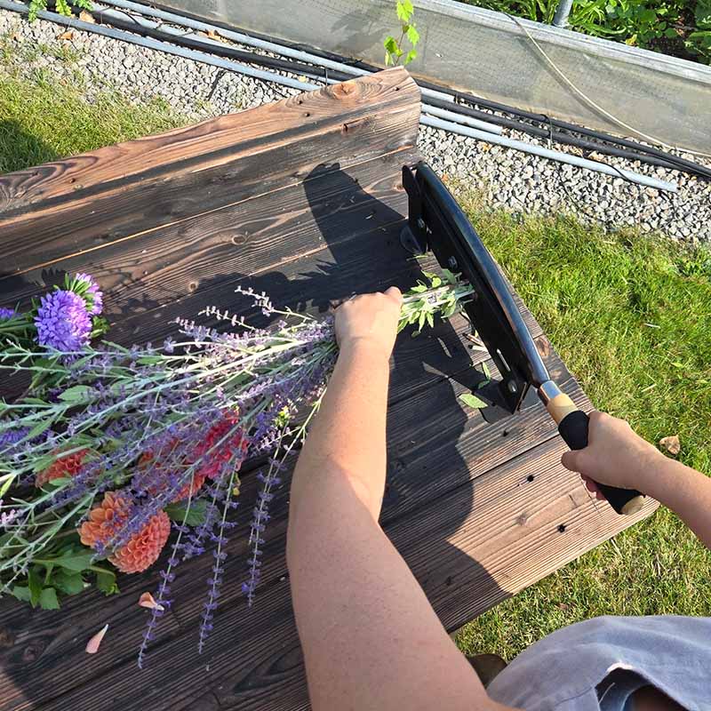 Cut Flower Stem Cutter – Harris Seeds