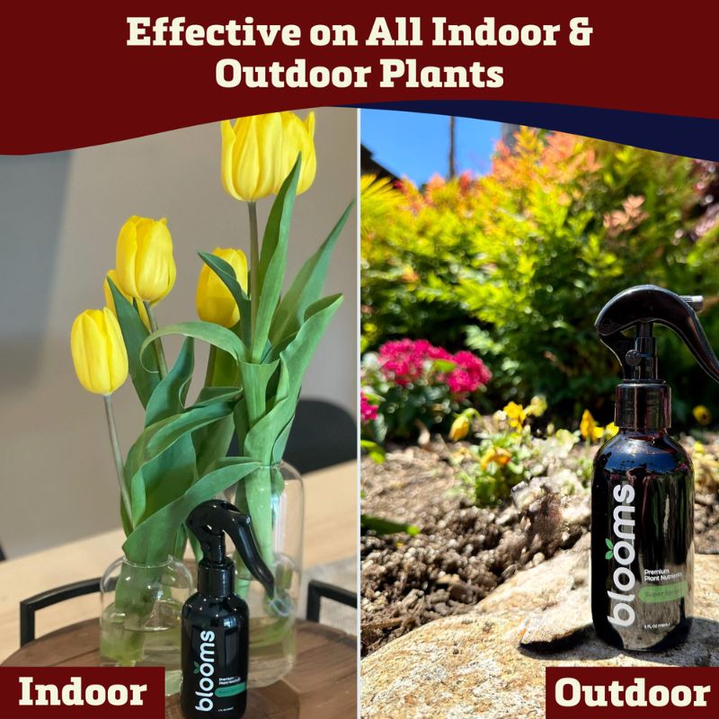 Blooms Super Sprout 10-3-3 Fertilizer – Harris Seeds