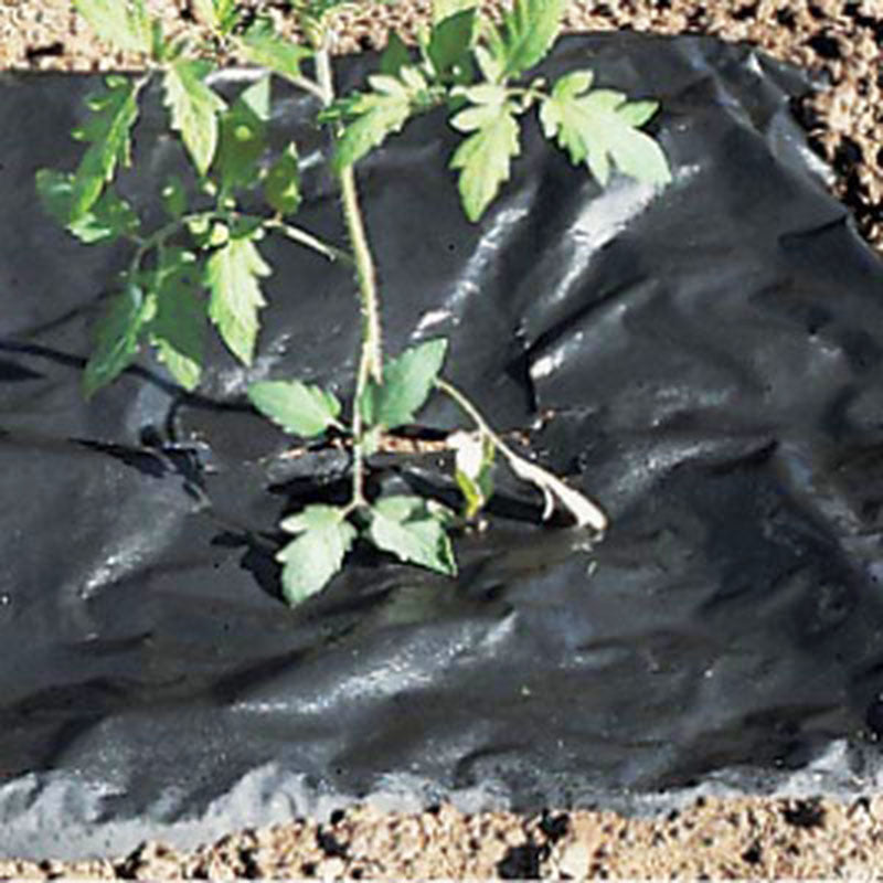 Planters Paper Mulch 4' x 100' – Harris Seeds