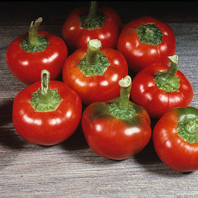 Pepper Large Red Cherry Hot Seed – Harris Seeds