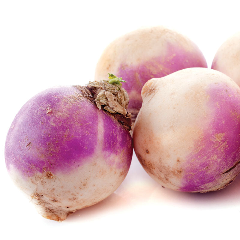 Rutabaga American Purple Top Seed – Harris Seeds