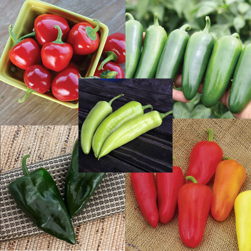 Pepper Seed Collection - Hot Peppers Seed – Harris Seeds