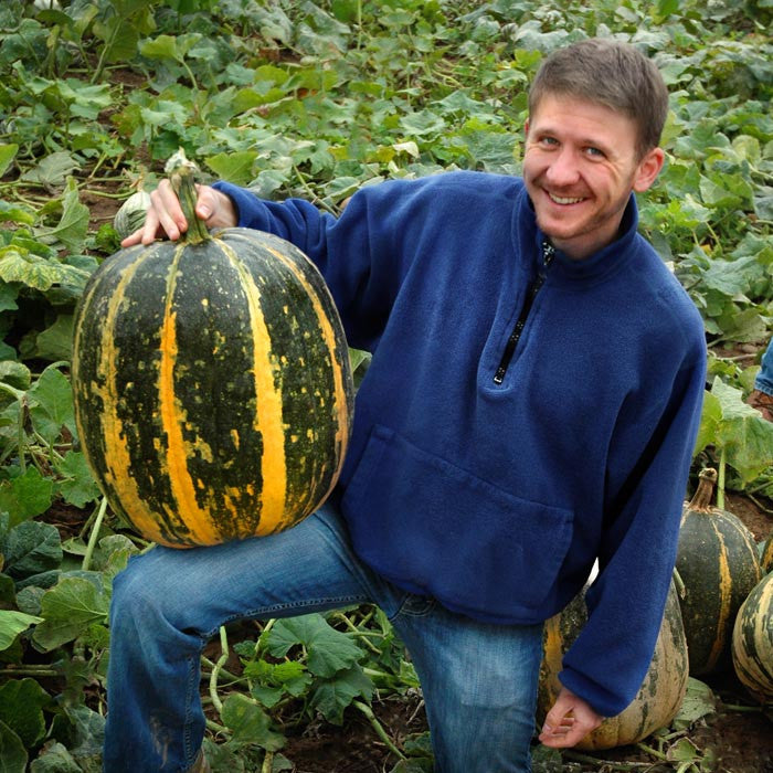 Pumpkin Tours Seed – Harris Seeds