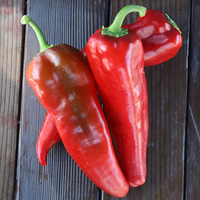 Pepper Carmen F1 Seed – Harris Seeds