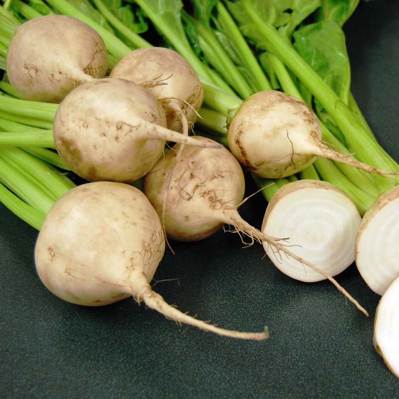 Beet Avalanche Seed – Harris Seeds