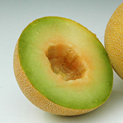Melon Masada F1 Seed – Harris Seeds