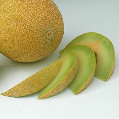 Melon Masada F1 Seed – Harris Seeds