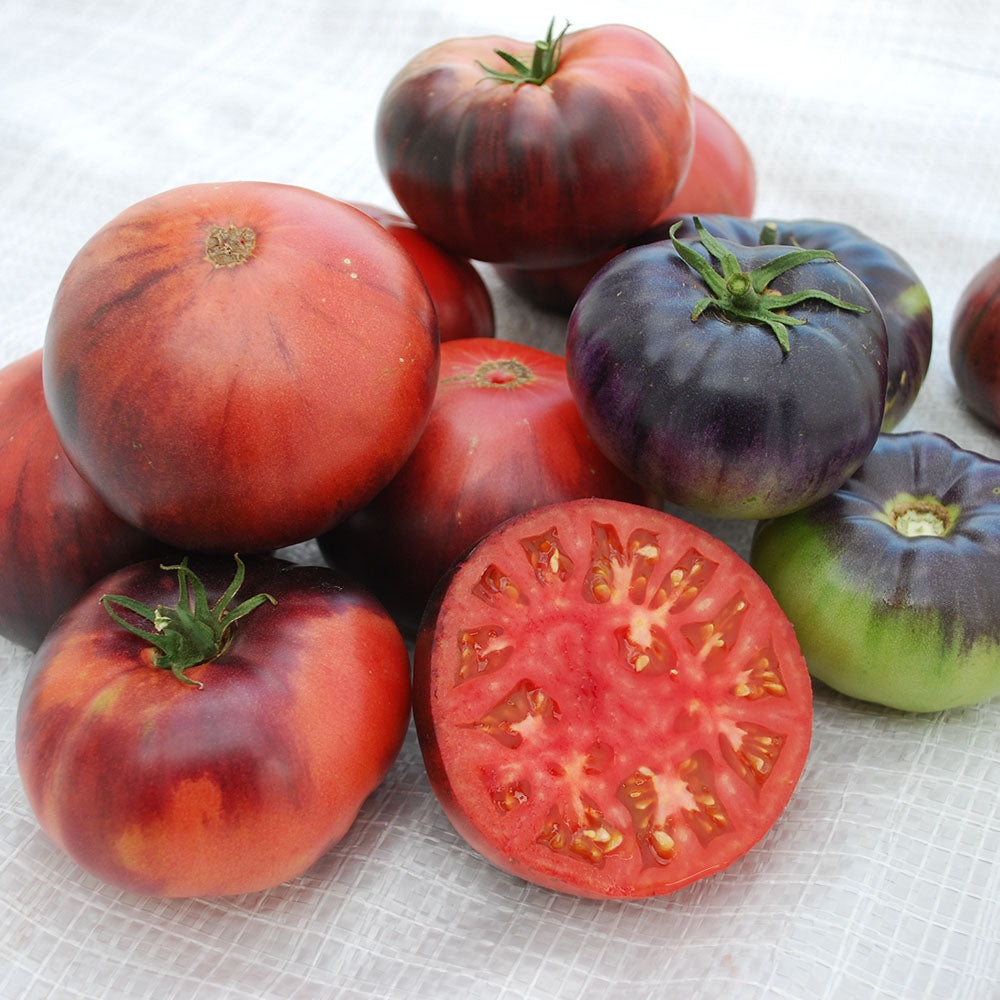 Tomato Indigo™ Blue Beauty Organic Seed – Harris Seeds