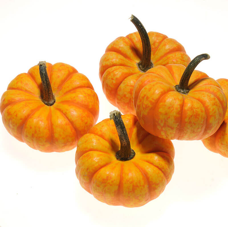 Pumpkin Spark F1 Seed – Harris Seeds