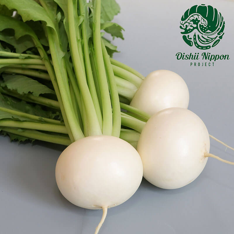Turnip Tokyo Silky Sweet F1 Seed – Harris Seeds