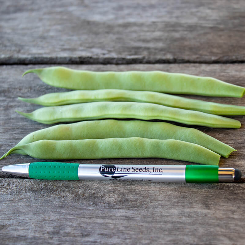 Bean Forrester Seed – Harris Seeds