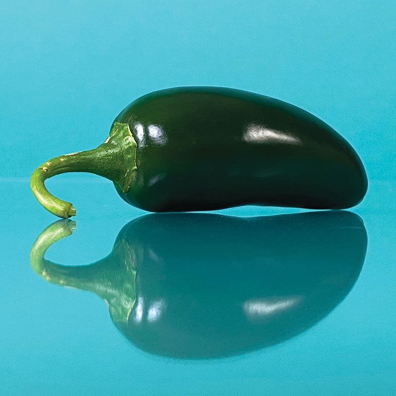 Pepper Black Magic F1 Organic Seed – Harris Seeds