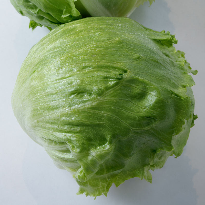 Lettuce Meridian Seed – Harris Seeds