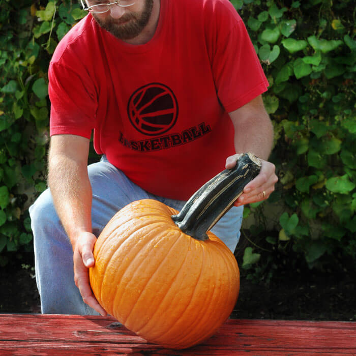 Pumpkin Wolf Seeds – Harris Seeds