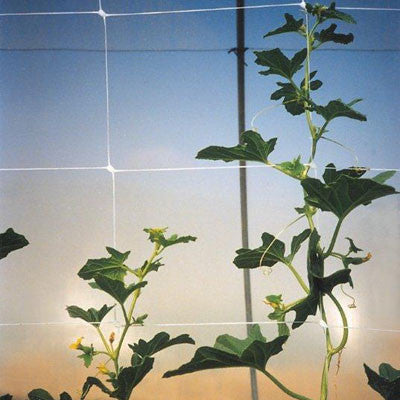Heavy Duty Support Netting 6.5' x 30' – Harris Seeds