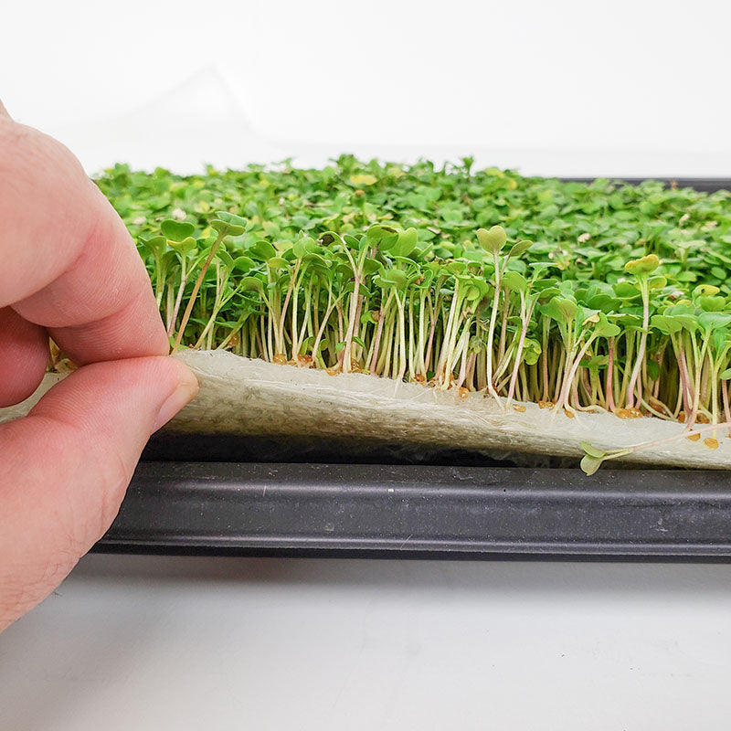 Biostrate 185 Felt Sheets – Harris Seeds