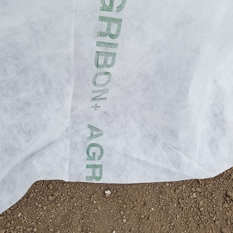 Row Cover Agribon AG-50 83"x 500' – Harris Seeds