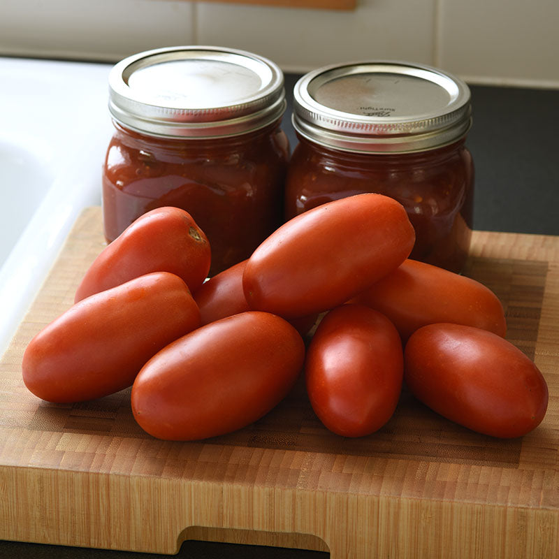 Tomato Bellatrix F1 Seed – Harris Seeds