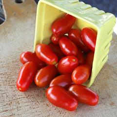 Buy Tomato Seeds - Grow The Best Tomatoes – Harris Seeds