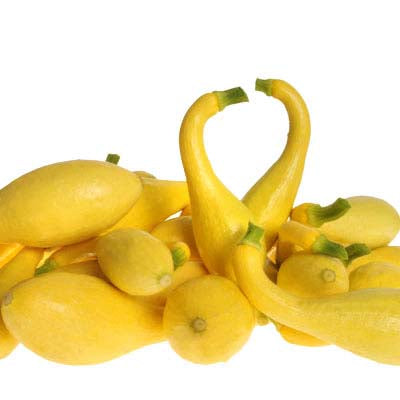 Squash Delta F1 Seed – Harris Seeds